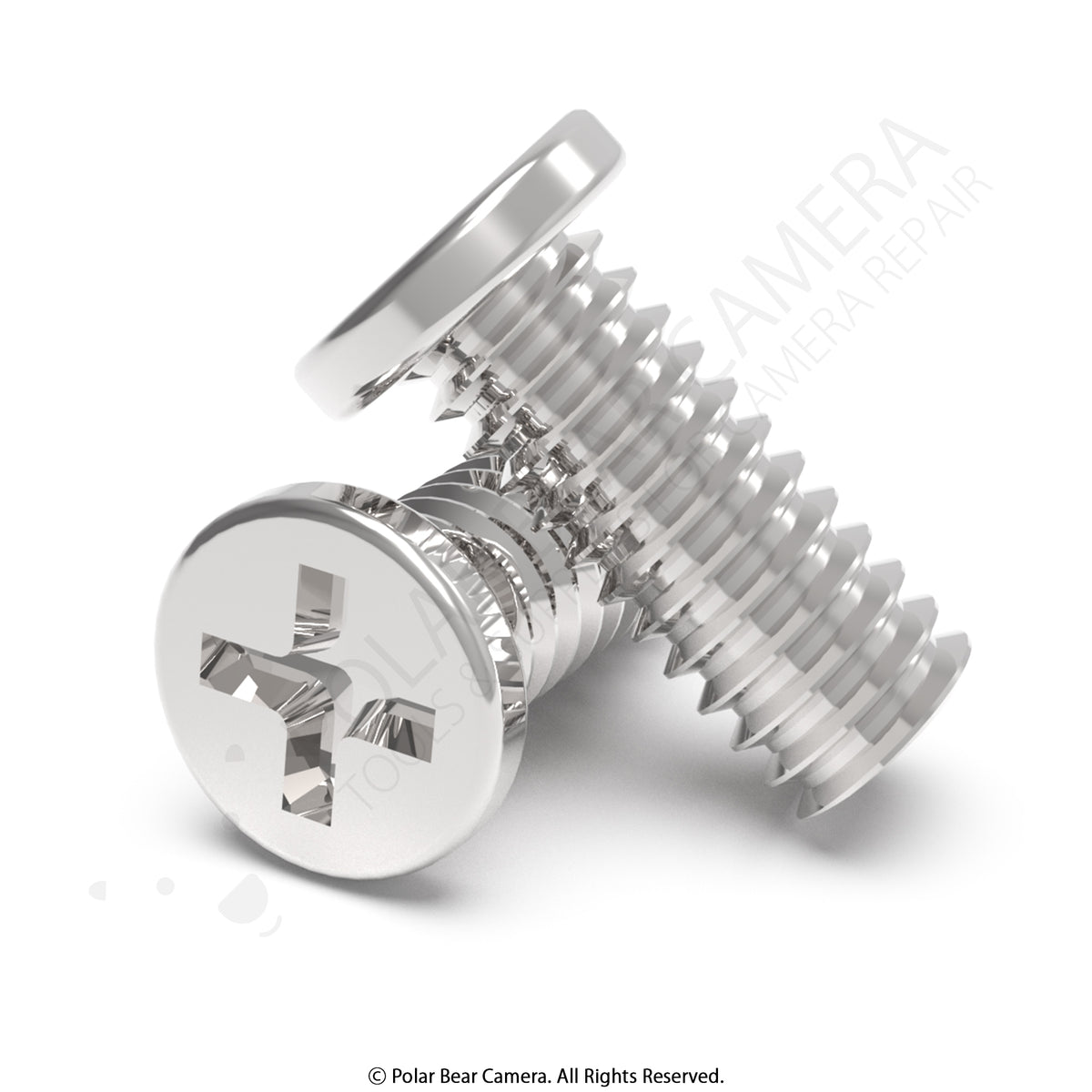 Screws – Polar Bear Camera